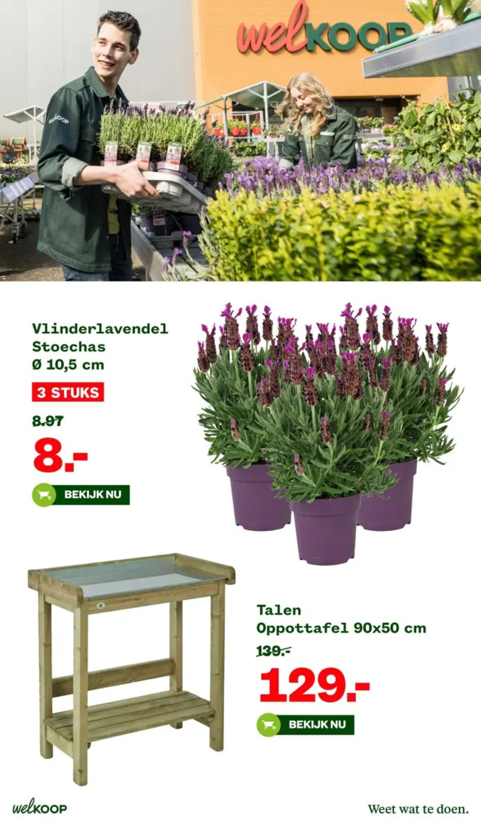 Welkoop Folder Volgende Week 12